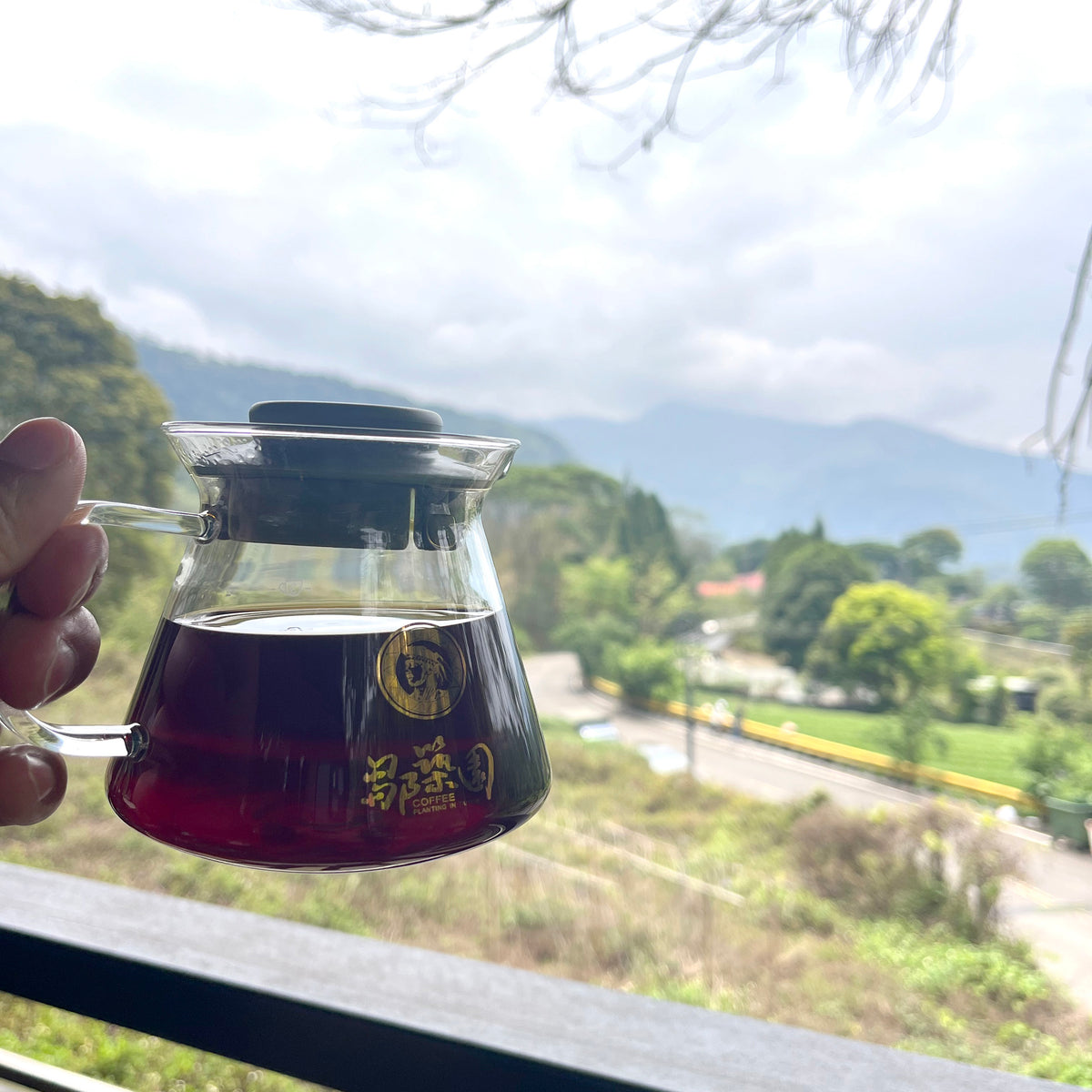 Taiwan Alishan Geisha Natural | Good Coffee Project